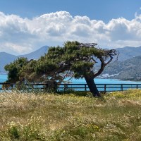 Learning is a Messy Process – Modern Greek Learning Journey